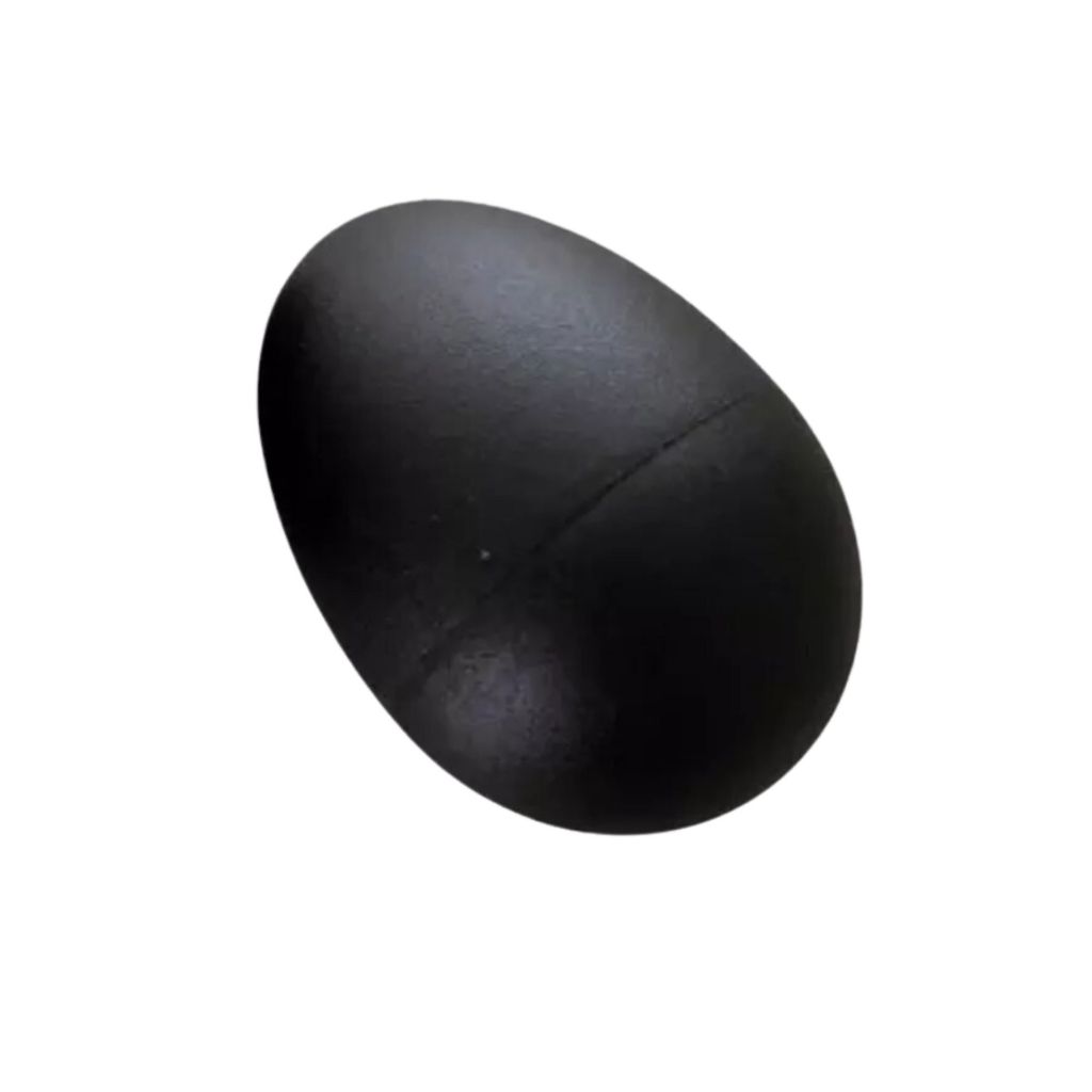 01 Ganzá Chocalho Ovinho Percussão Profissional Egg - UNIDADE | Shopee Brasil