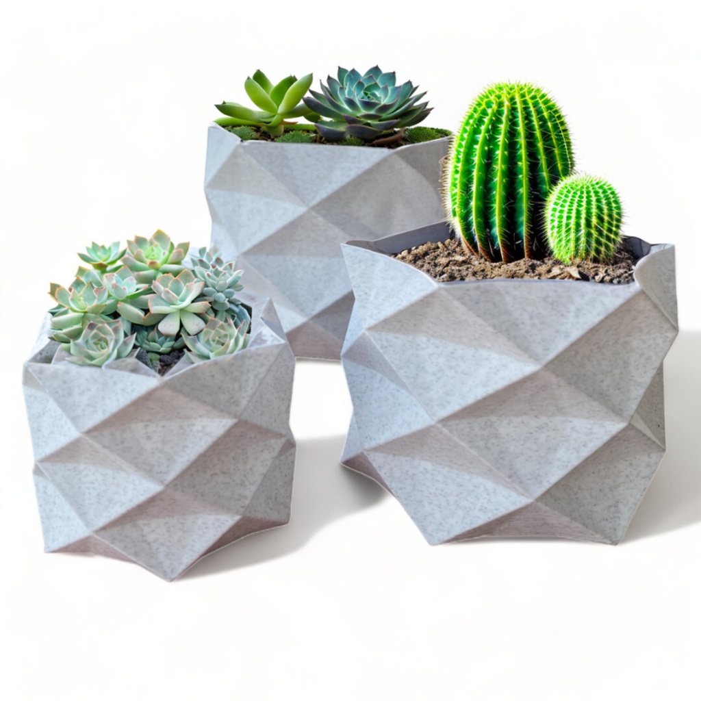 Lindo cachepô vários tamanhos para suculentas e cactos. | Shopee Brasil
