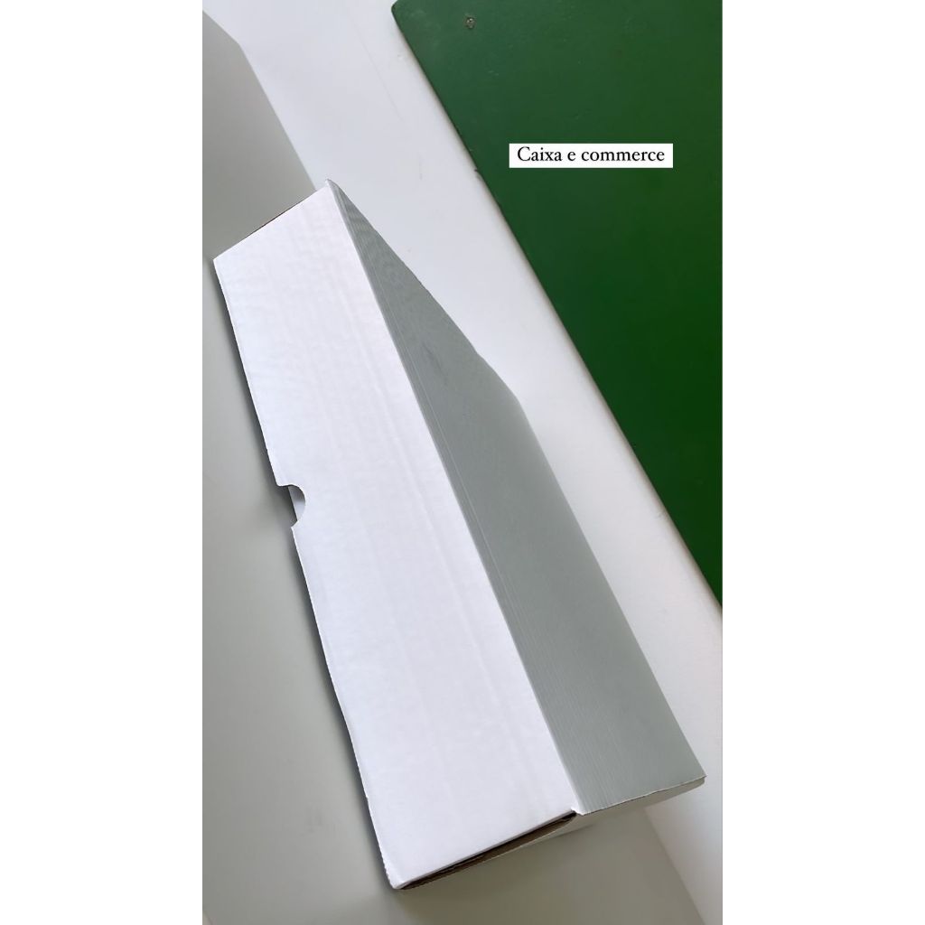 CAIXA E-COMERCCE DUPLA FACE (BRANCA/PARDA) - 10 UNIDADES | Shopee Brasil