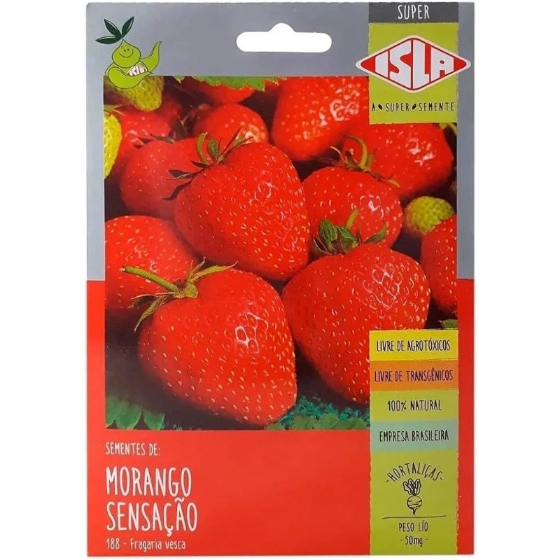 200 SEMENTES DE MORANGO GRANDE NATURAL | Shopee Brasil
