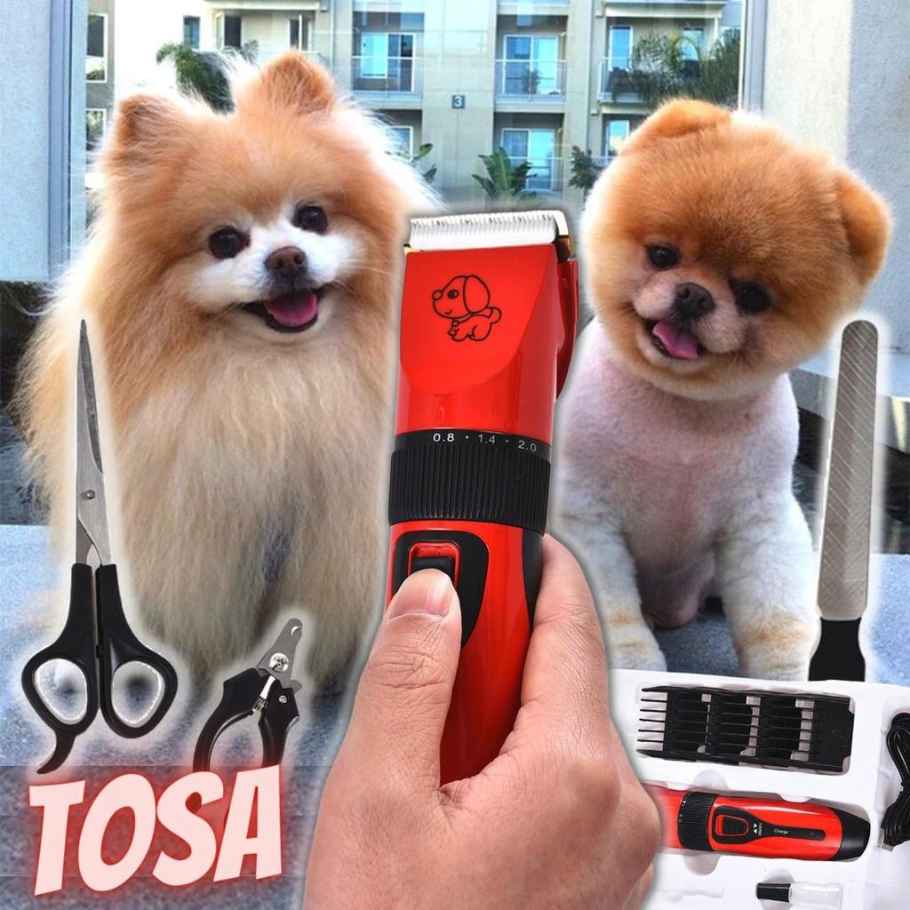 Máquina de Tosa Corte Pêlos Profissional para Cães e Gatos com USB ...