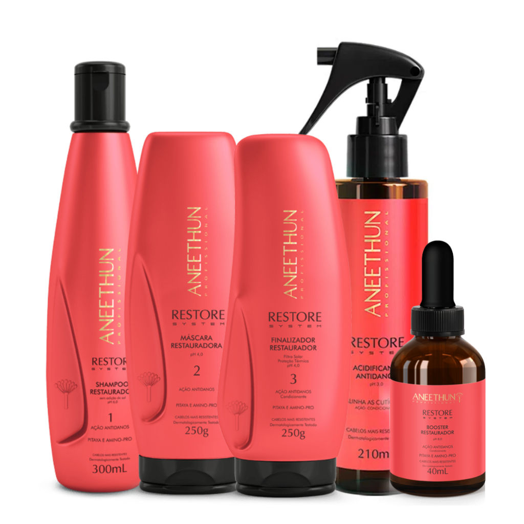 KIt Reparador Aneethun Restore System Completo 5 Passos | Shopee Brasil