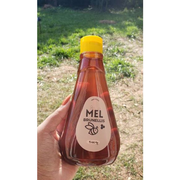 Mel Silvestre de 500 gramas - MEL NA BISNAGA - MEL PURO - MEL NATURAL ...
