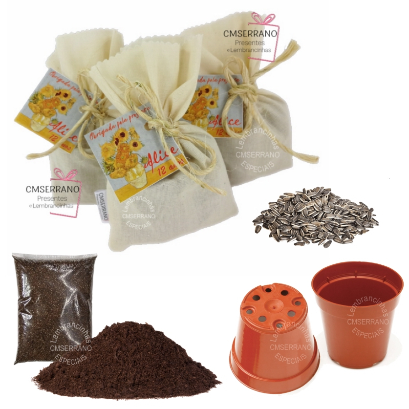 21 Lembrancinha Ecológica Educativa Semente Mini Girassol Tag ...