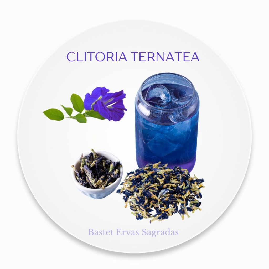 Chá Fada Azul Flores Desidratadas de Clitoria Ternatea | Shopee Brasil