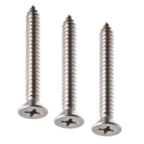 Parafuso 4,8x60 48x60 4,8 x 60 Inox 304 Philips 100u | Shopee Brasil