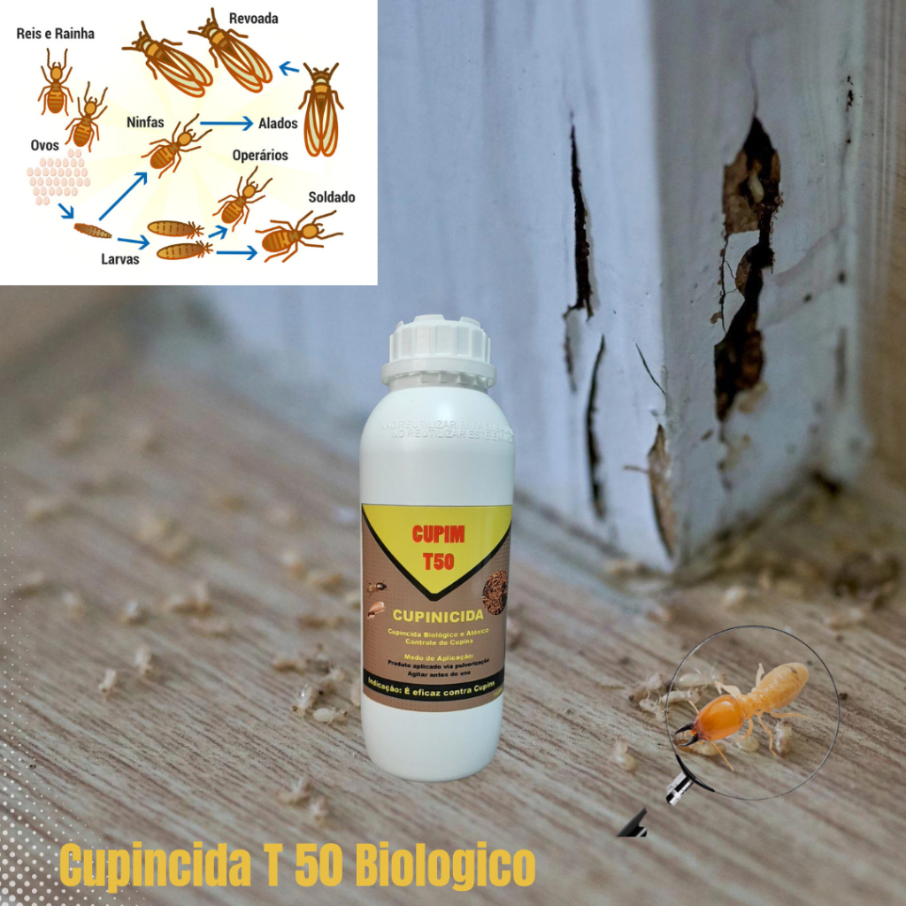 Controle Biológico de cupins T50 Atóxico no combate dos cupim em ...
