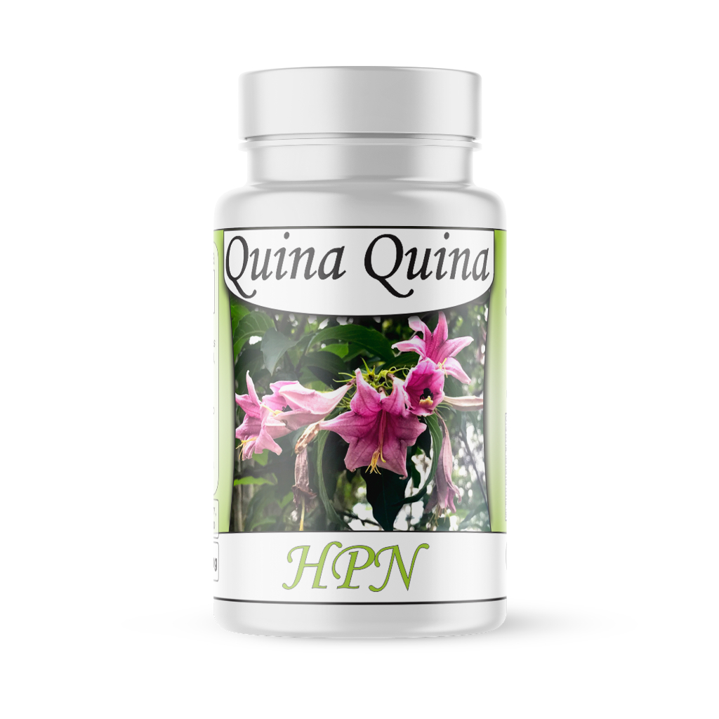 QUINA QUINA - QUININA PODEROSA PLANTA MEDICINAL NATURAL RICAS ...