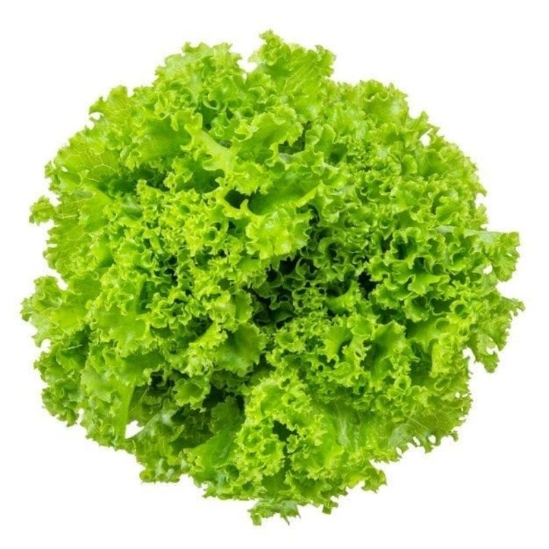 sementes variadas, monte sua horta | Shopee Brasil