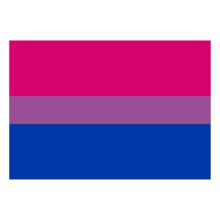Bandeira Bisexual Orgulho LGBTQIA+ 1,50m X 1,0m Em Tecido | Shopee Brasil