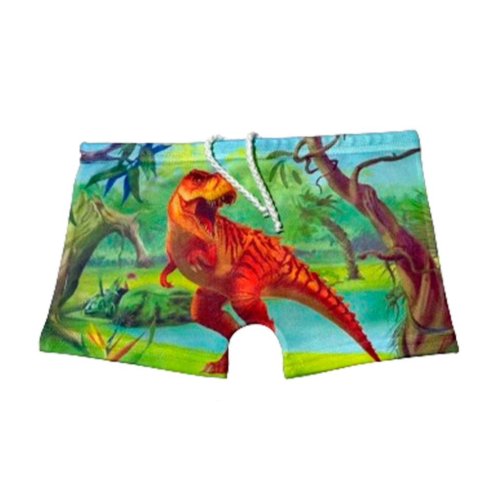 Sunga Infantil Box Estampada Dinossauro Menino (SungDino) | Shopee Brasil