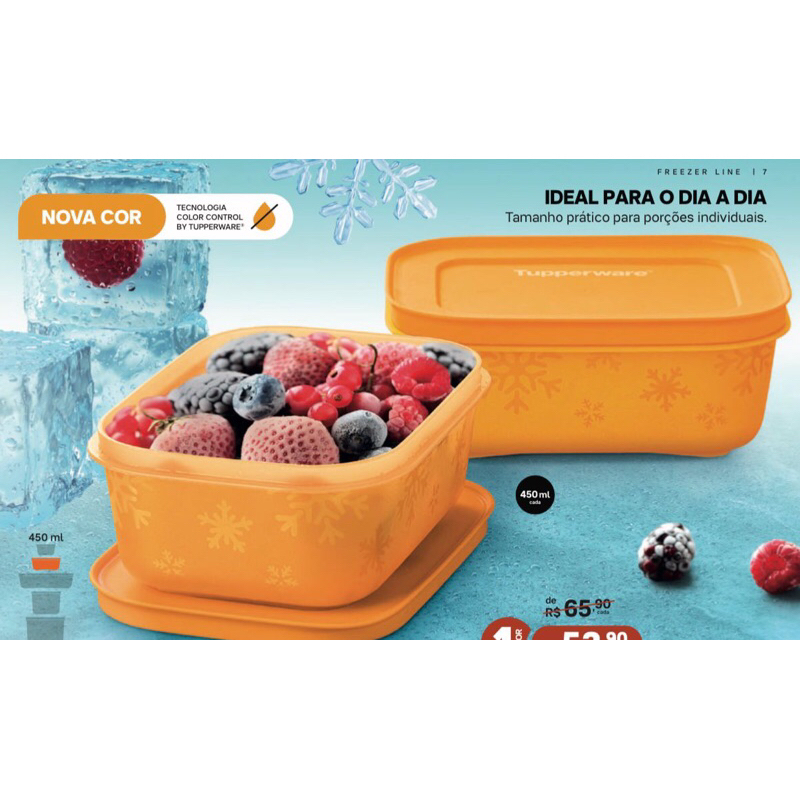 Tupperware kit Freezer Line com 2 peças 450ml Tupperware | Shopee Brasil