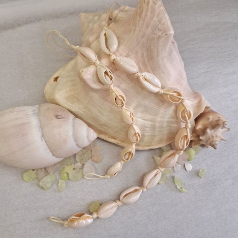 kit colar e pulseira de conchas buzios moda praia | Shopee Brasil