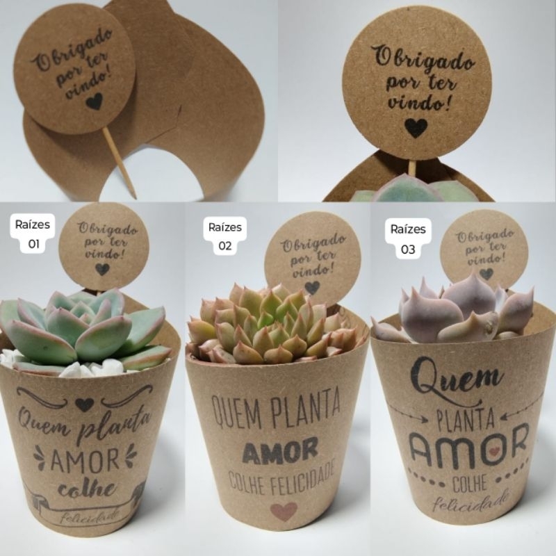70 rótulos para lembrancinha de suculentas. Embalagem cachepôs para ...