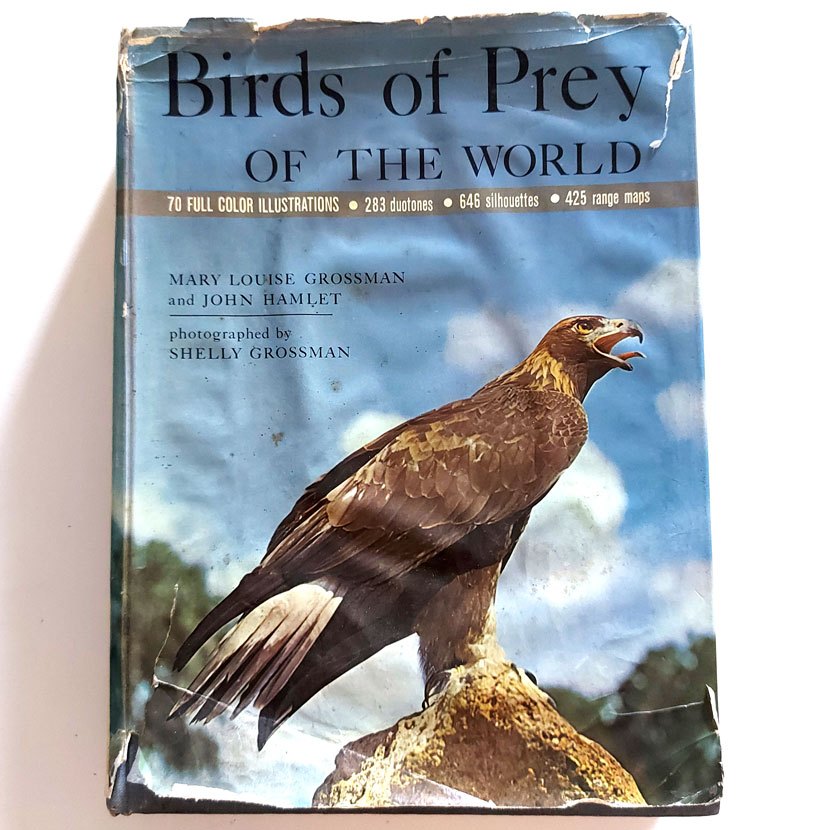 Livro Birds Of Prey Of The World - Mary Louise Grossman And John Hamlet ...