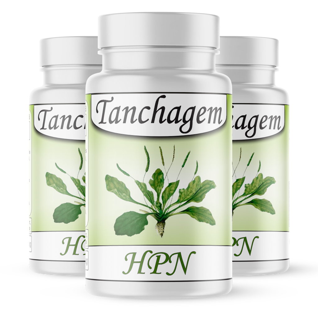Tanchagem- tansagem planta medicinal eficaz a saúde cápsulas/500mg kit ...