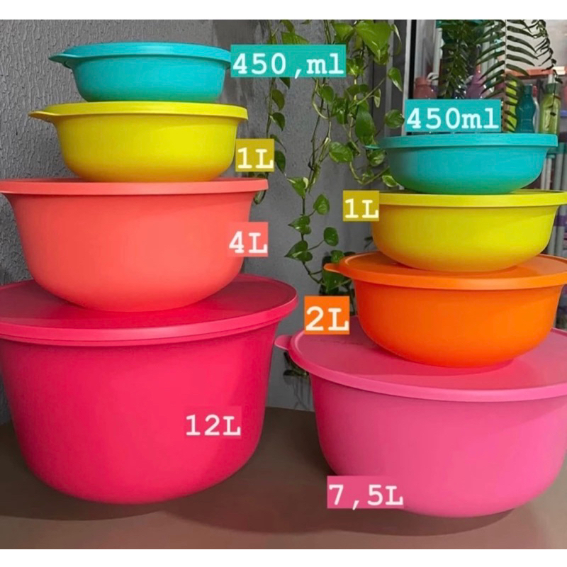 Kit Tigelas Aloha Tupperware | Shopee Brasil