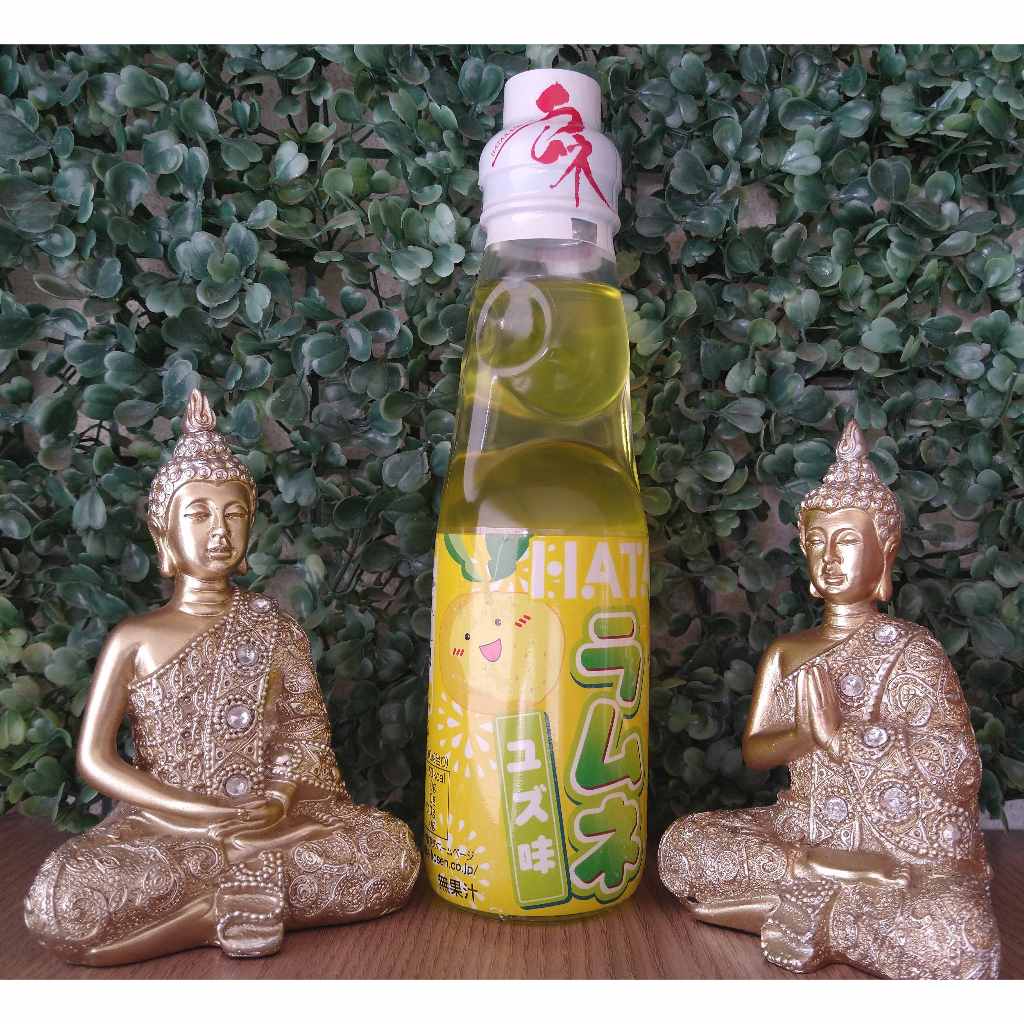 BEBIDA GASEIFICADA BIN RAMUNE 8 SABORES: Lichia, blueberry, Yogurt ...