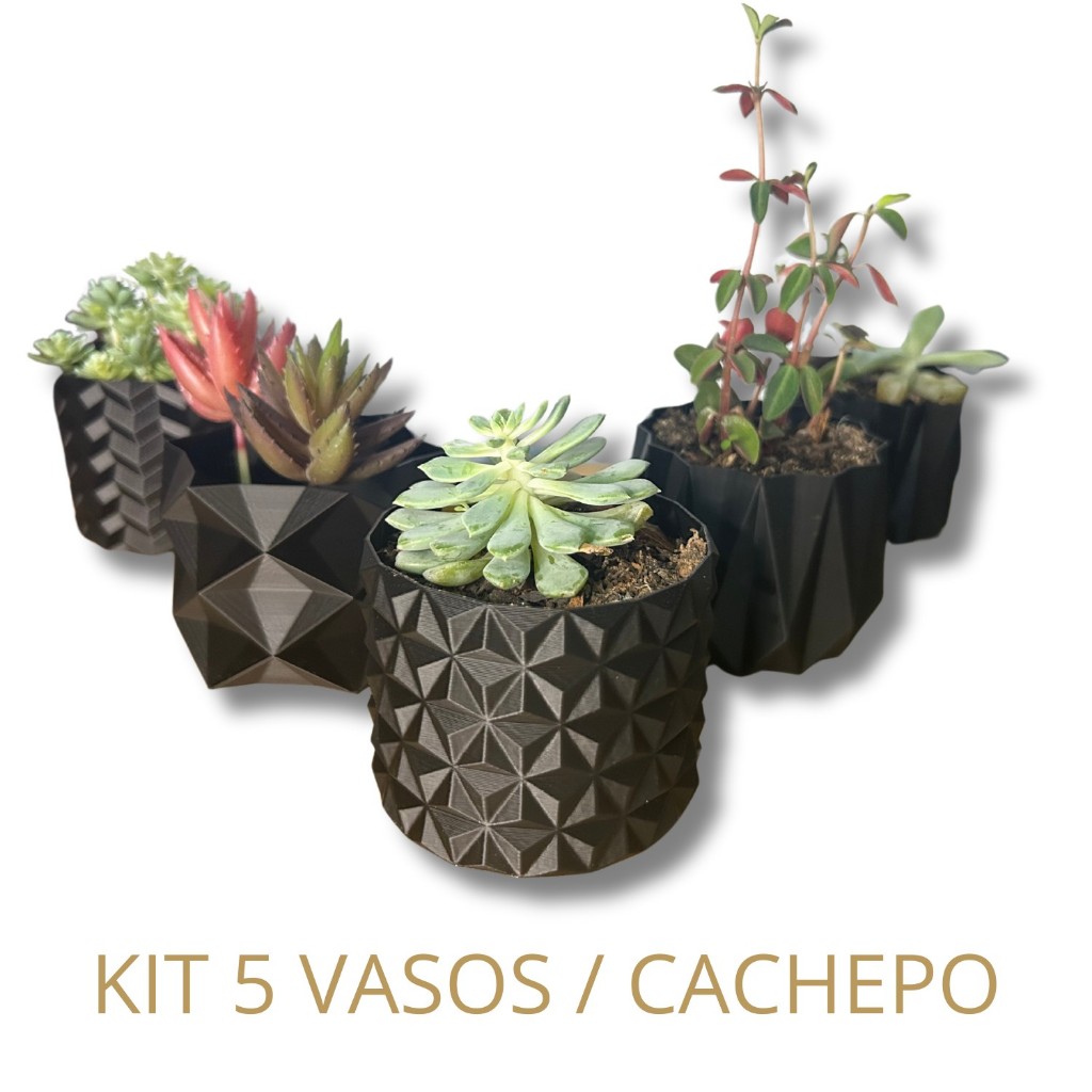 Lindo cachepô vários tamanhos para suculentas e cactos. | Shopee Brasil