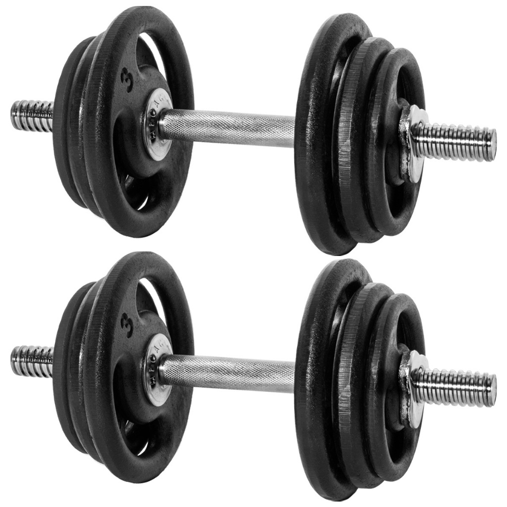 Kit Par Halter Academia 40cm Rosca Com 4 Anilhas de Academia Pintadas ...