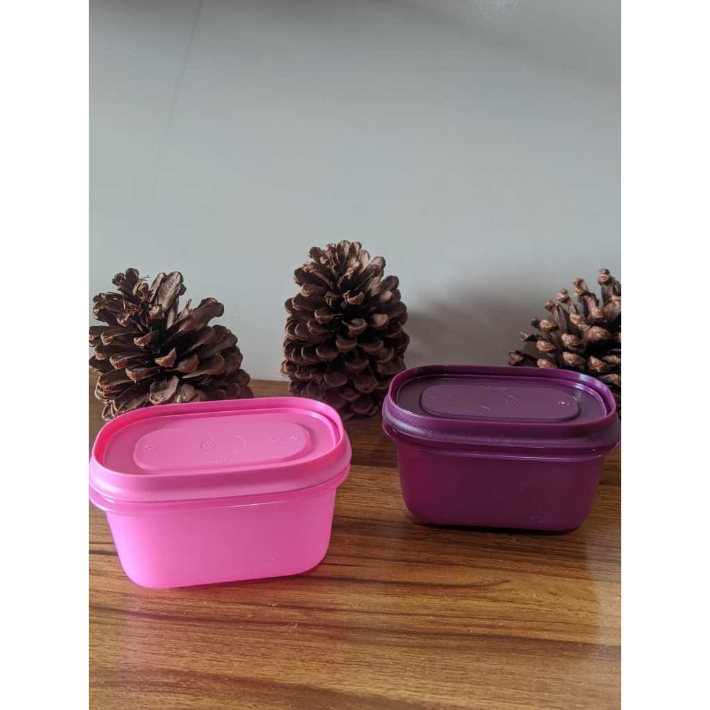 Freezer Line Tupperware - Linha congelamento | Shopee Brasil