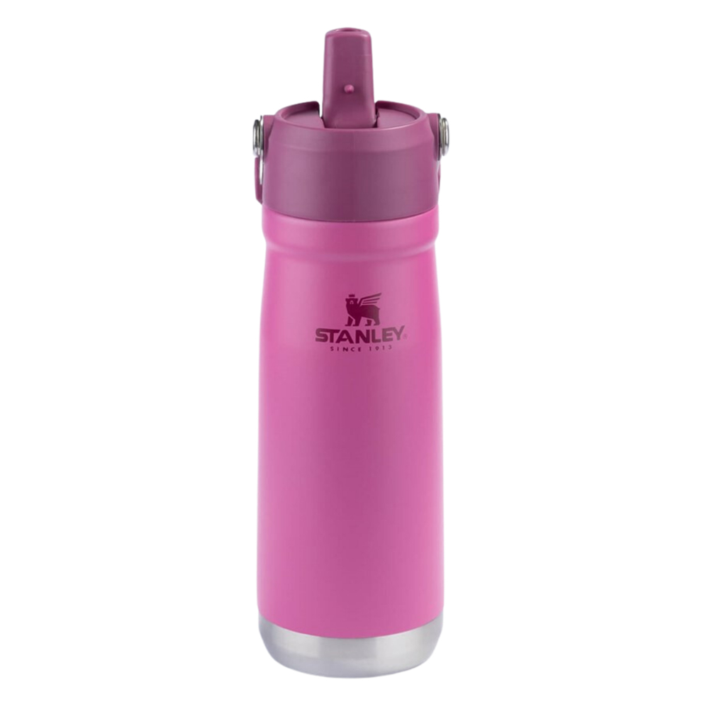 Kit 2 Copos E 1 Garrafa Térmica Stley Flip Straw 650ml Inox Tampa com ...