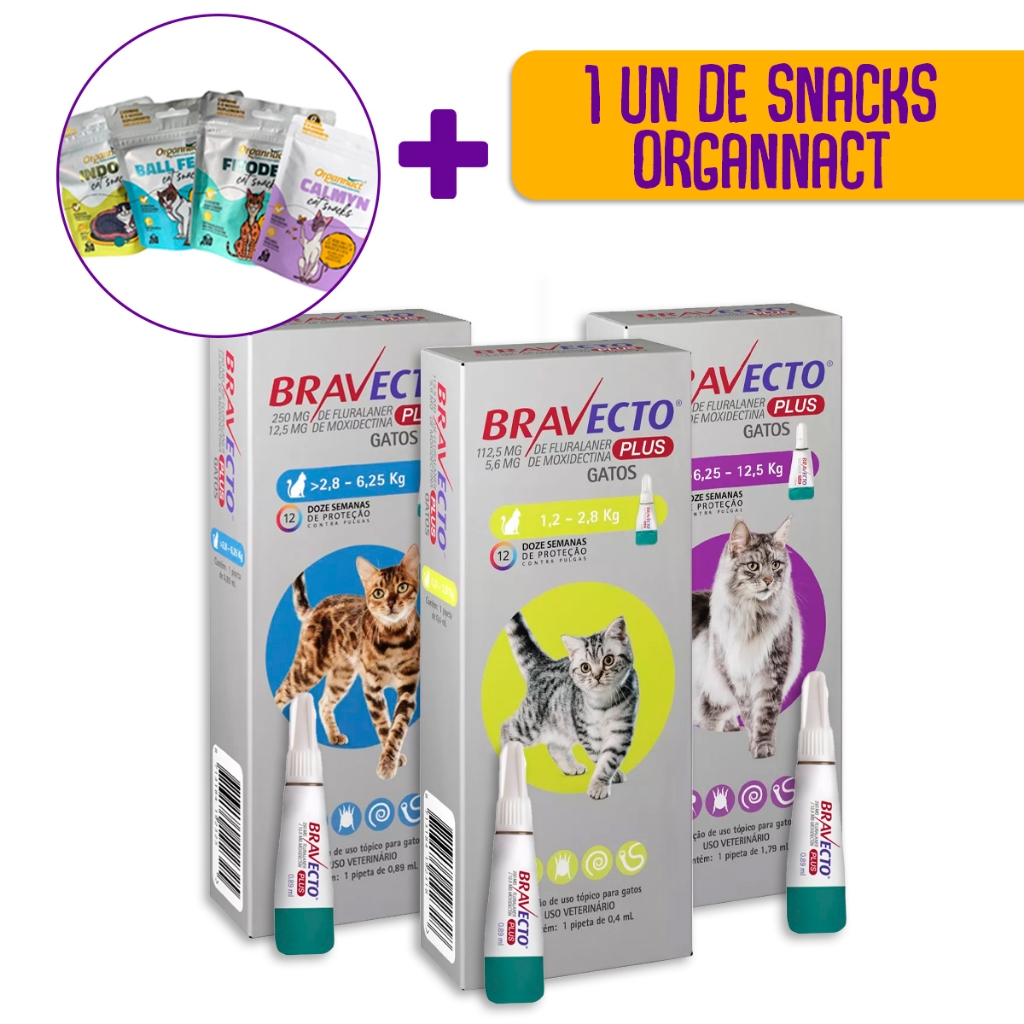 Bravecto Antipulgas e Carrapatos Transdermal Plus para Gatos - MSD - Todos os Tamanhos Pipeta ...