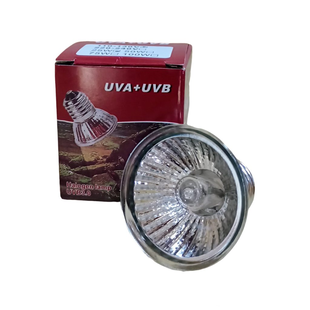 Mini Lâmpada Uva/uvb 25w + Aquecimento 3 Em 1 Halogen 110v | Shopee Brasil