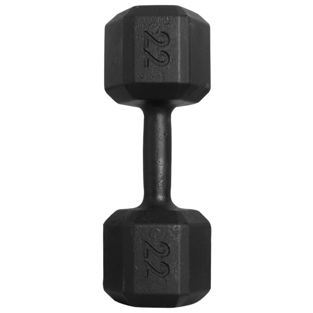 Halter Sextavado Pintado 22Kg Para Treino Em Academia e Em Casa De ...