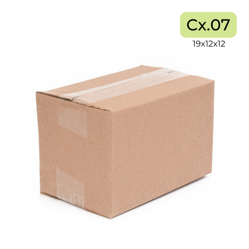 Caixa De Papelão Correio Sedex Pac 19x12x12 E-commerce 300cx | Shopee ...