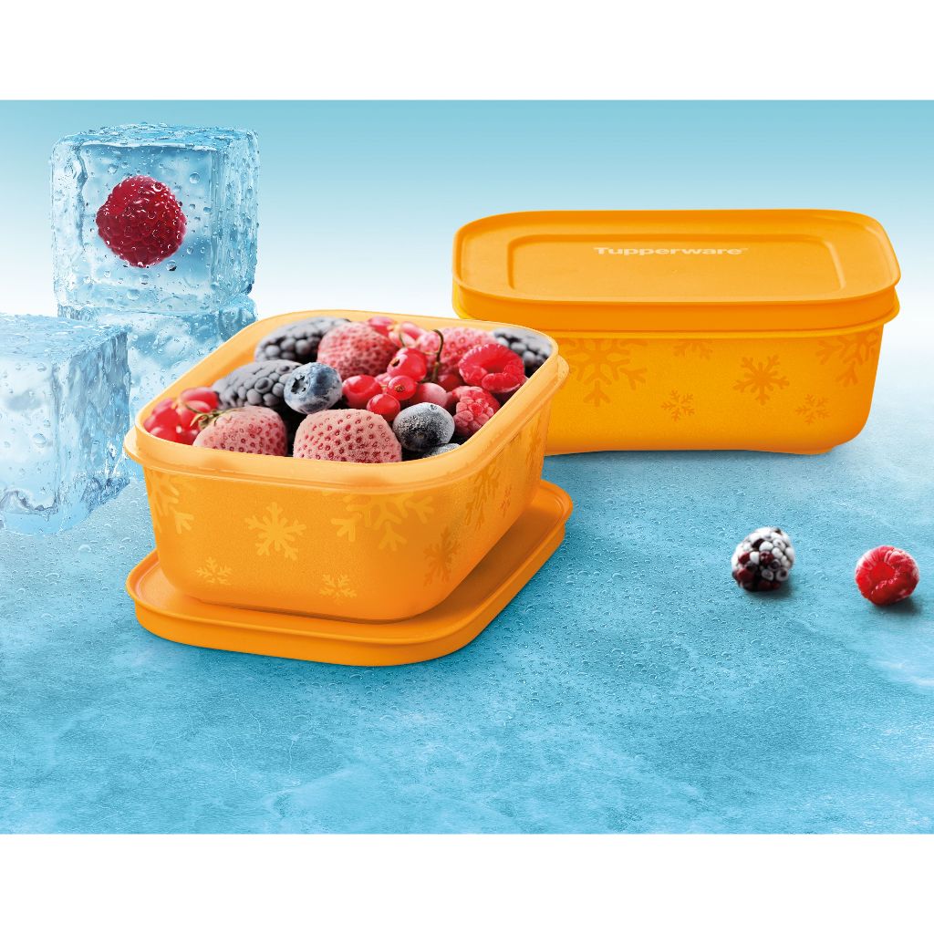 Freezer Line 450ml Tupperware | Shopee Brasil