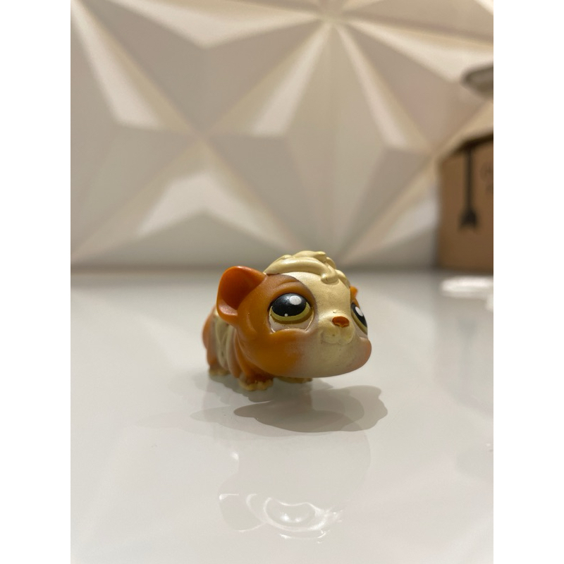 Porquinho da India Littlest Pet Shop LPS | Shopee Brasil