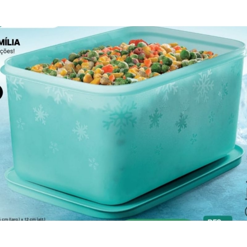 Freezer Line original Tupperware 2,5l aruba | Shopee Brasil