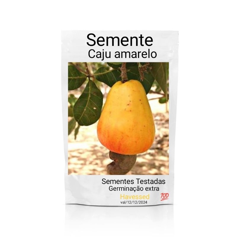 Semente Caju Amarelo Gigante Precoce/3 Sementes Para Plantio | Shopee ...