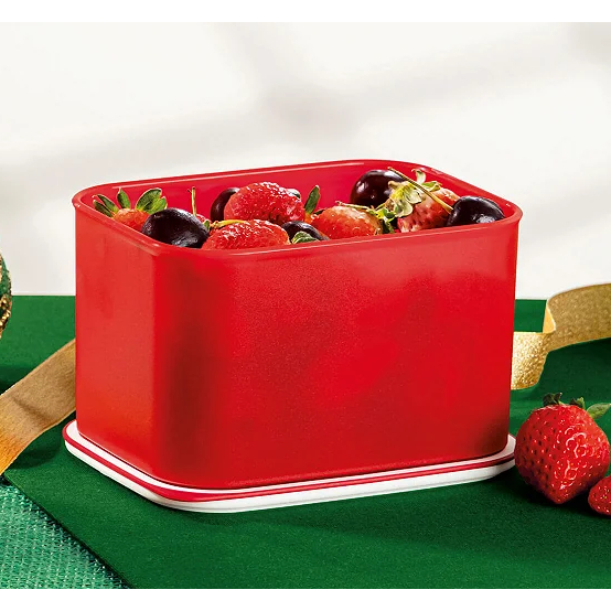 Tupperware Baseline Retangular 1,3 litro Original. | Shopee Brasil