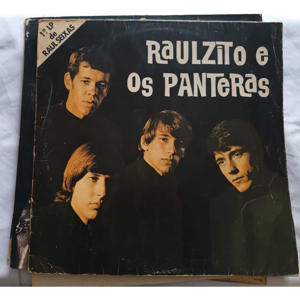 Lp Raulzito E Os Panteras Veja Fotos Disco Vg/ Capa G+ | Shopee Brasil