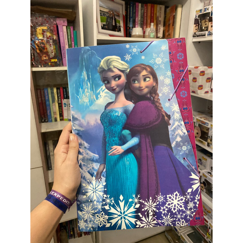 Pasta Frozen - Disney | Shopee Brasil