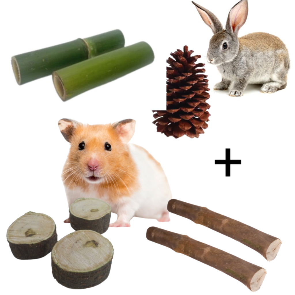 Kit Brinquedos Enriquecimento Ambiental De Roer Para Hamster Coelho ...