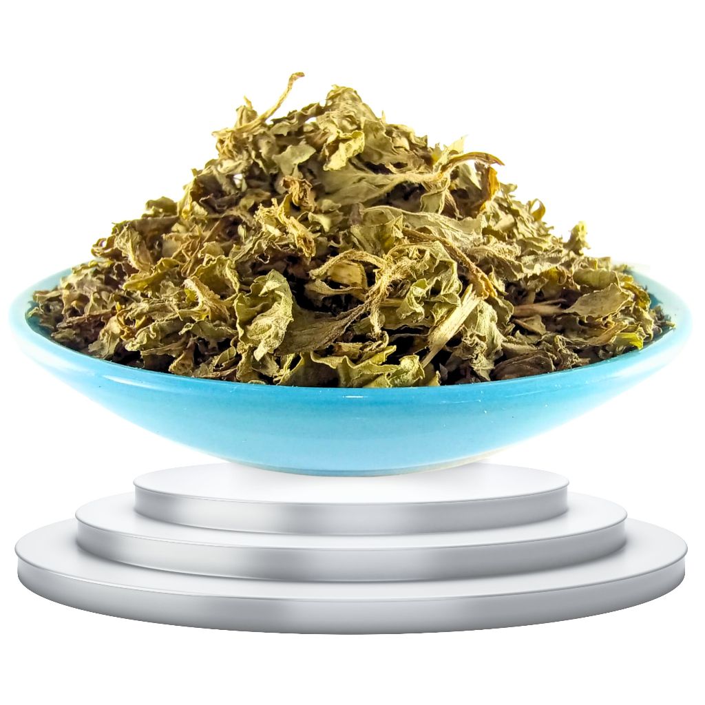 Chá de Poejo folhas | Original Mentha Pulegium Envio Imediato - 30g ...