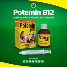 Potemin B12 Oral 120ml Suplemento Vitamínico Mineral Vetbras | Shopee ...