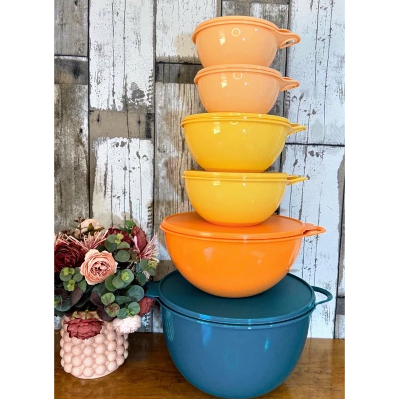 kit Tigelas Criativas PDA Tupperware | Shopee Brasil