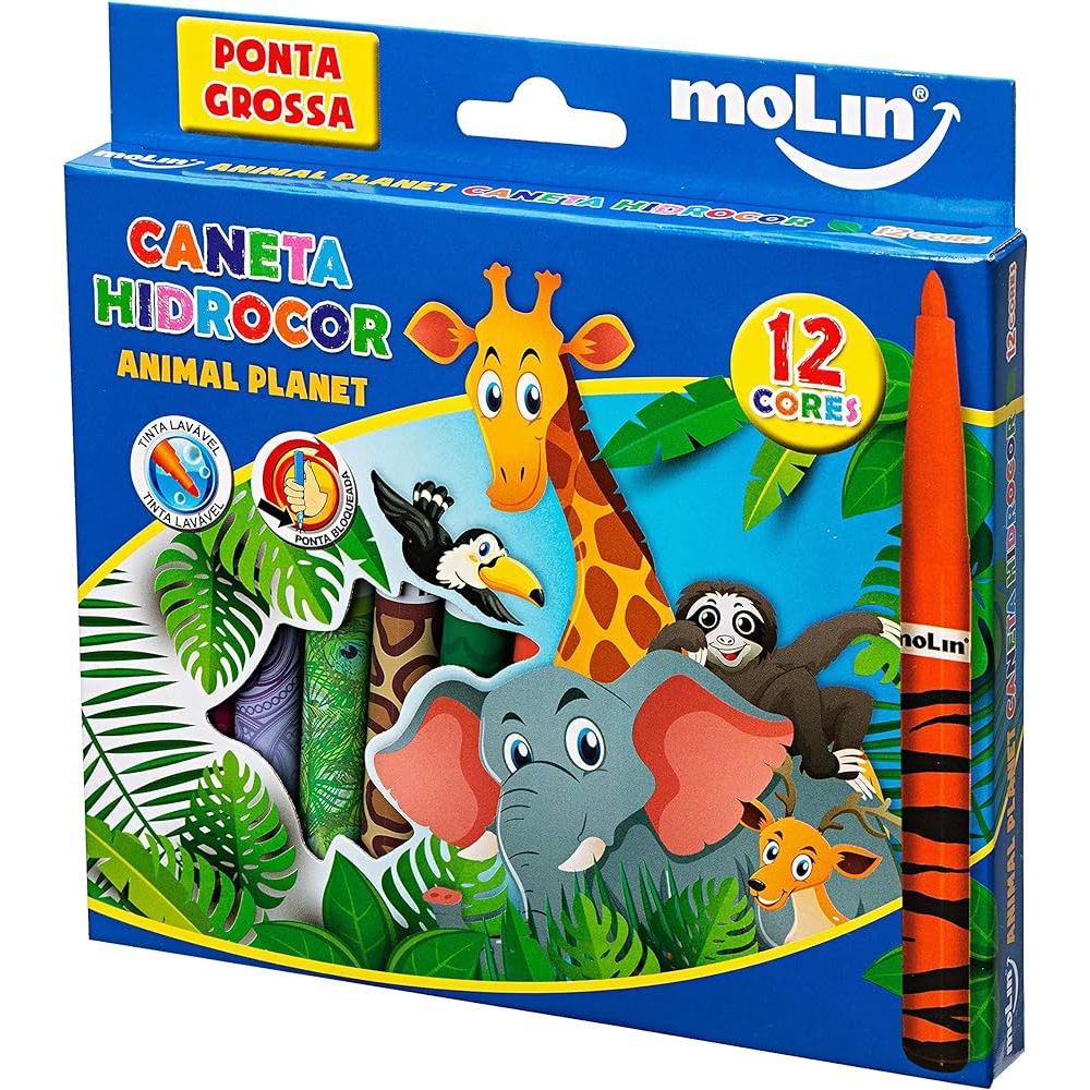 Caneta Hidrocor 12 Cores Molin Canetinha Colorida De Pintar Escolar Ponta Grossa | Shopee Brasil