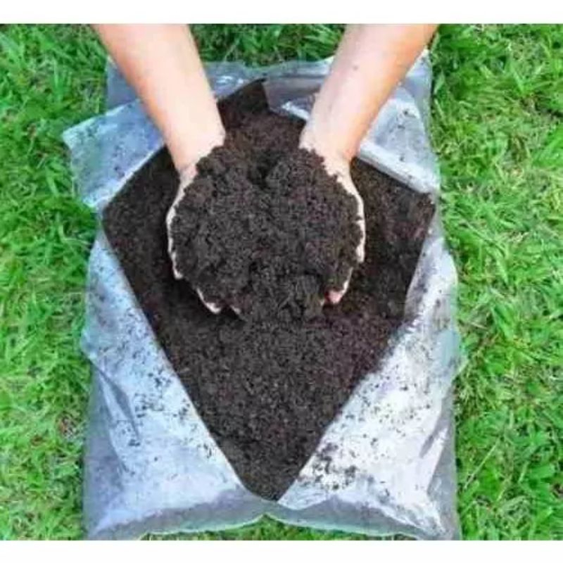 Substrato Terra Vegetal Adubada Orgânico para Plantas e Jardim (10kg ...
