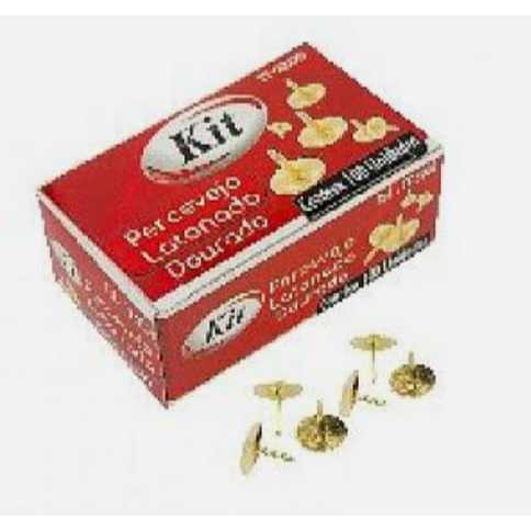 Percevejos tachinhas com 100 unidades | Shopee Brasil