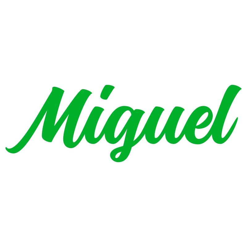 Adesivo Nome Miguel | Shopee Brasil
