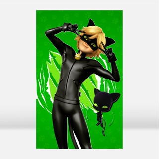 Painel De Festa Lateral Sublimado Em Tecido Tema Miraculous Ladybug ...