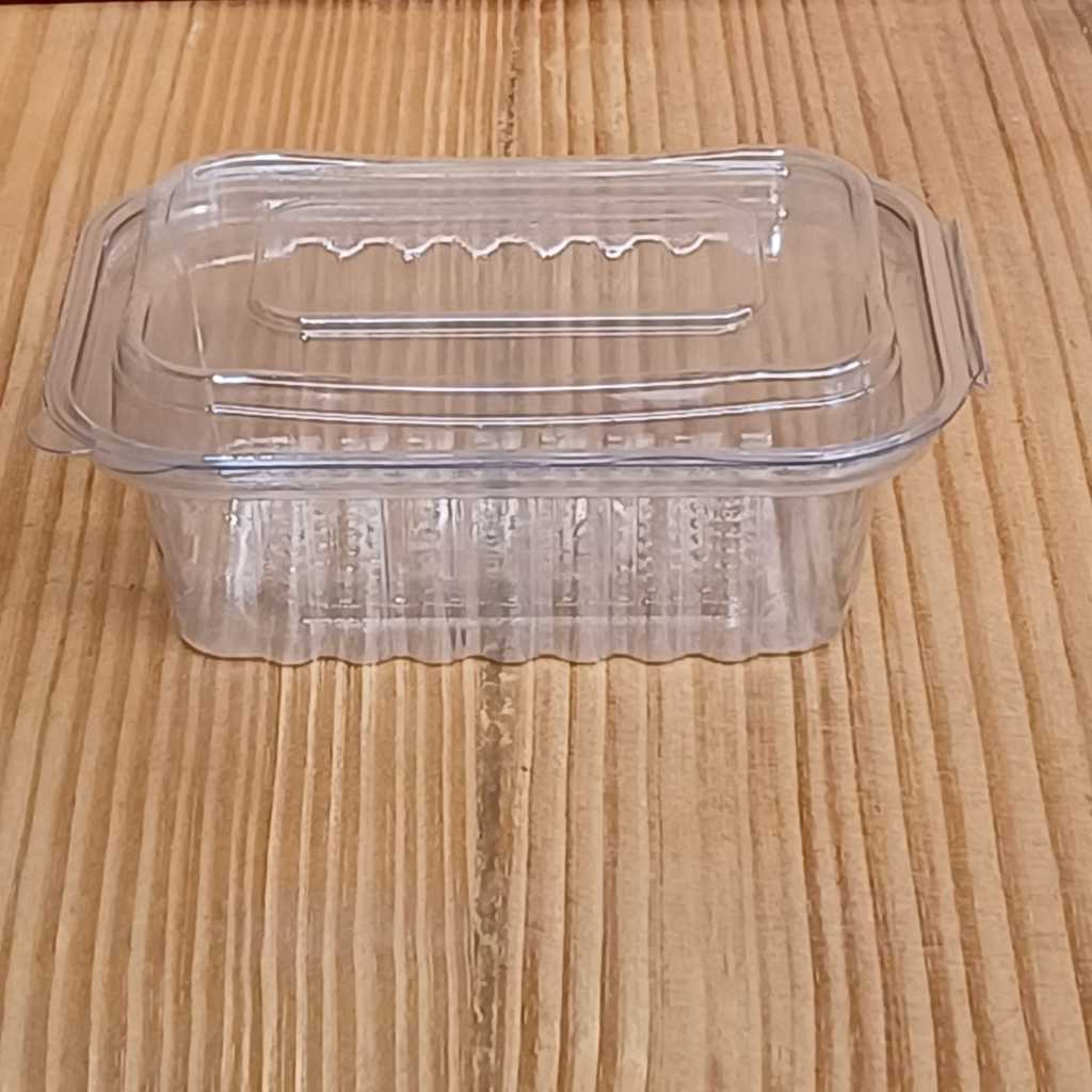 50 un Pote Retangular Cristal 450ml c/ Tampa Articulada G720 Galvanotek | Shopee Brasil