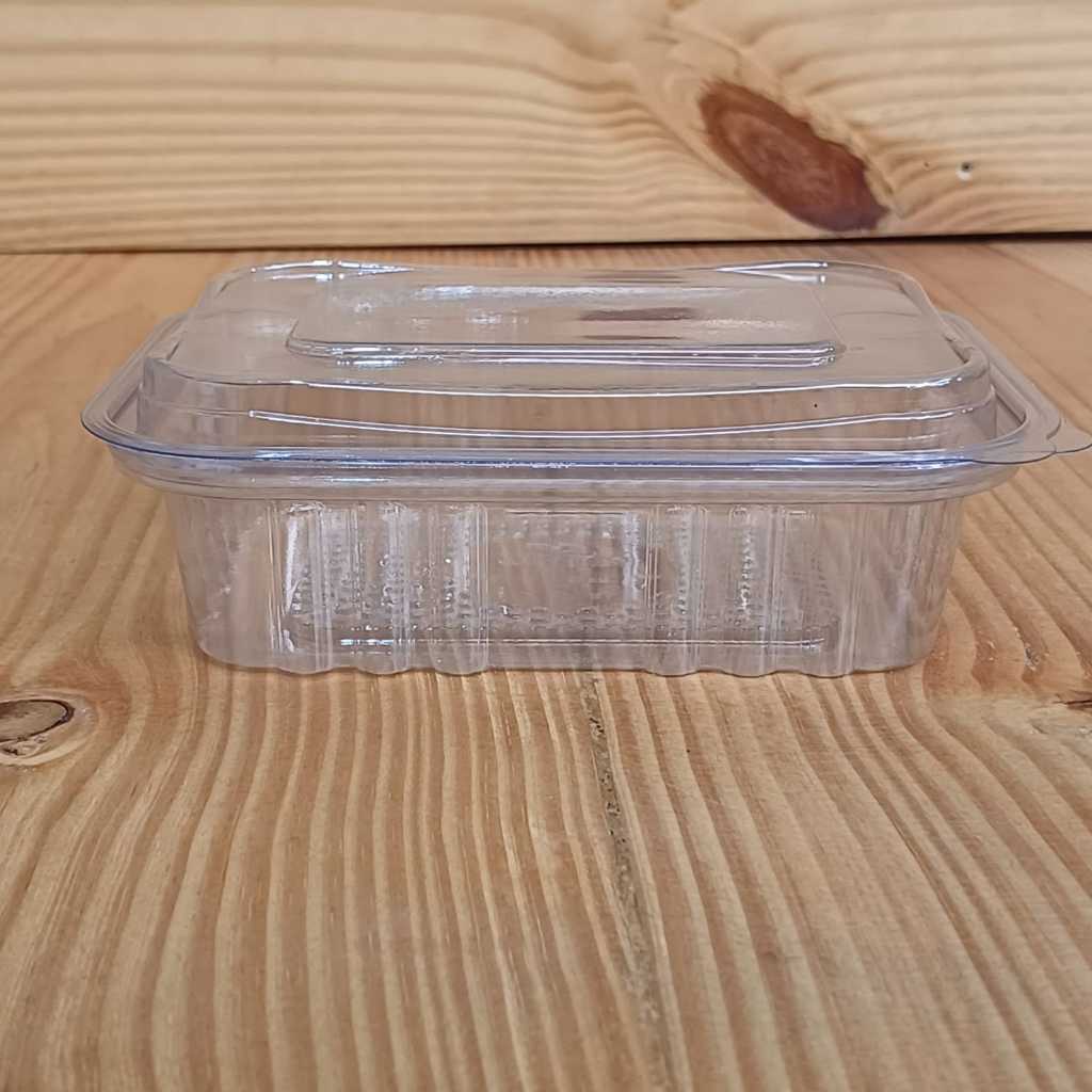 100 un Pote Retangular Cristal 800ml c/ Tampa Articulada G721 Galvanotek | Shopee Brasil