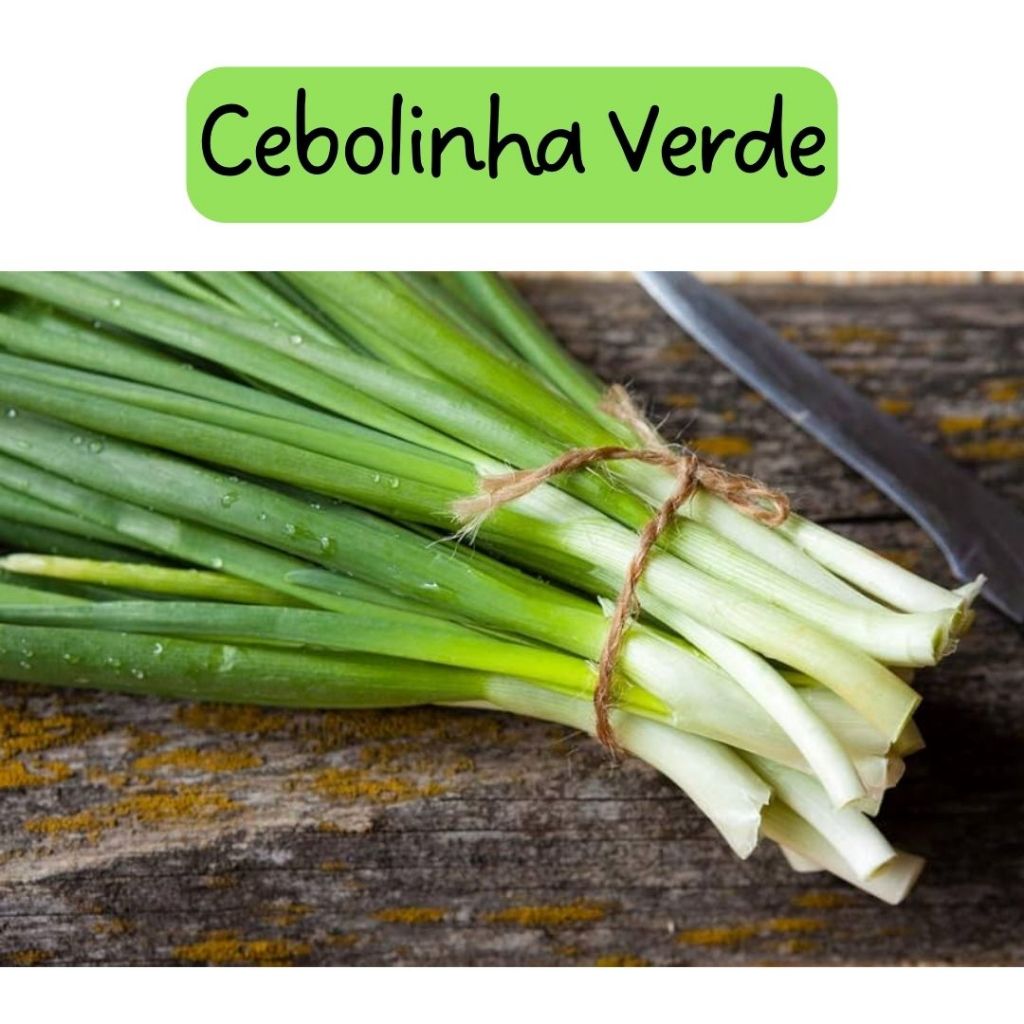 Cebolinha Verde Sementes Horta Temperos Ervas Jardim Isla | Shopee Brasil