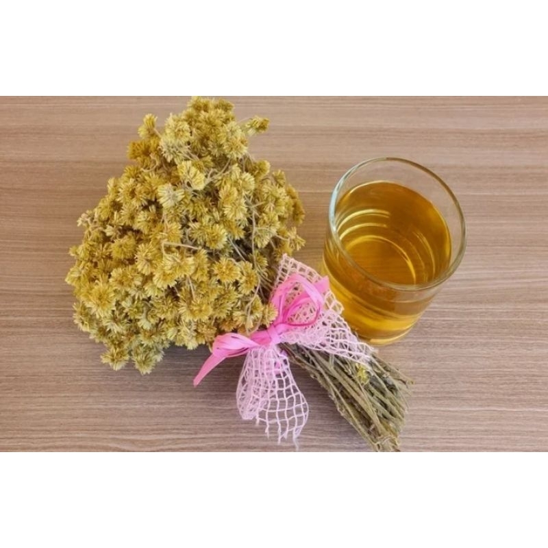 Marcela ( flor de Marcela ) | Shopee Brasil